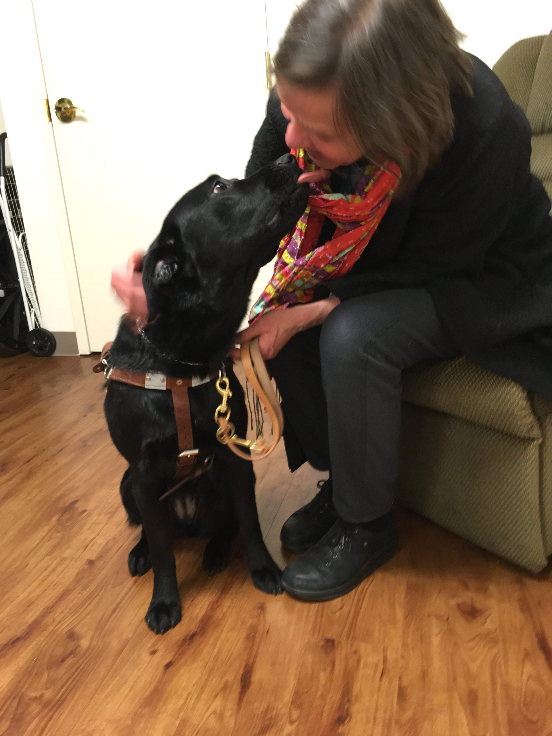 Safe & Sound Blog • Beth Finke: Author, Teacher, Journalist